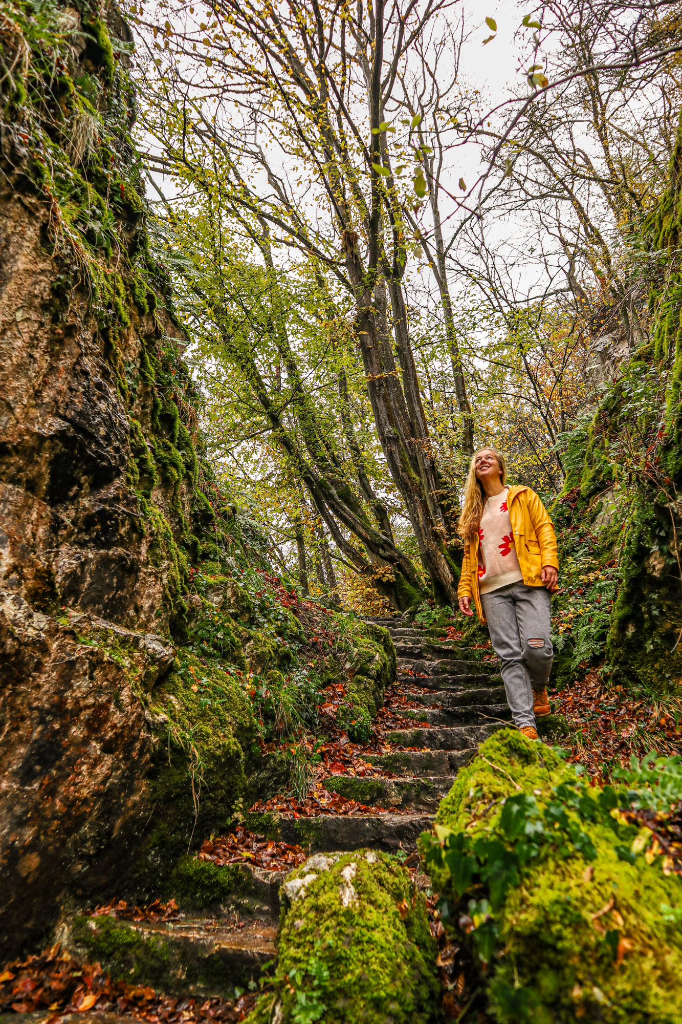 Autumn in Belgium; the most beautiful places to experience autumn foliage