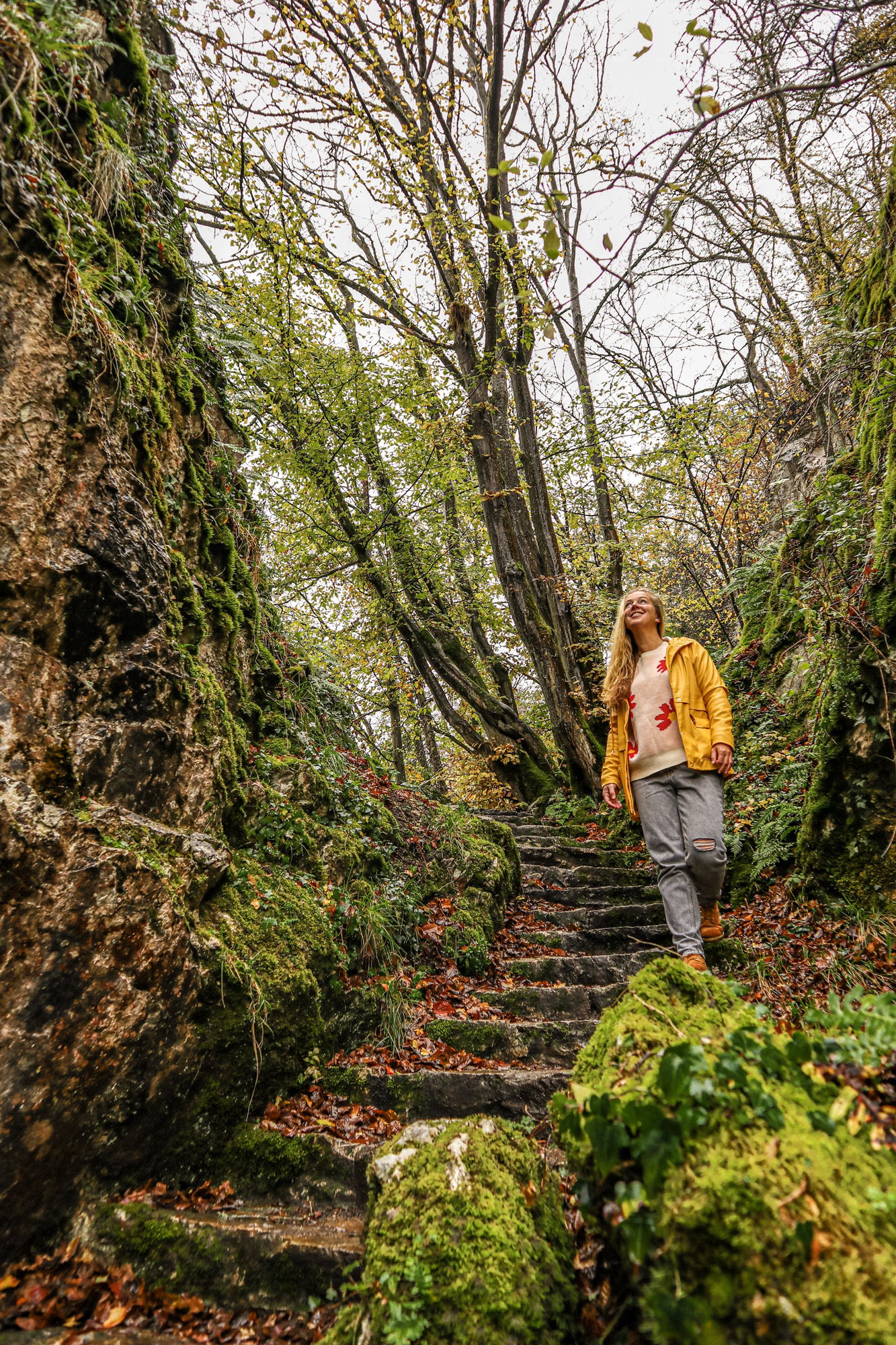 Hiking in the Belgian Ardennes: 10 most beautiful walks you must do