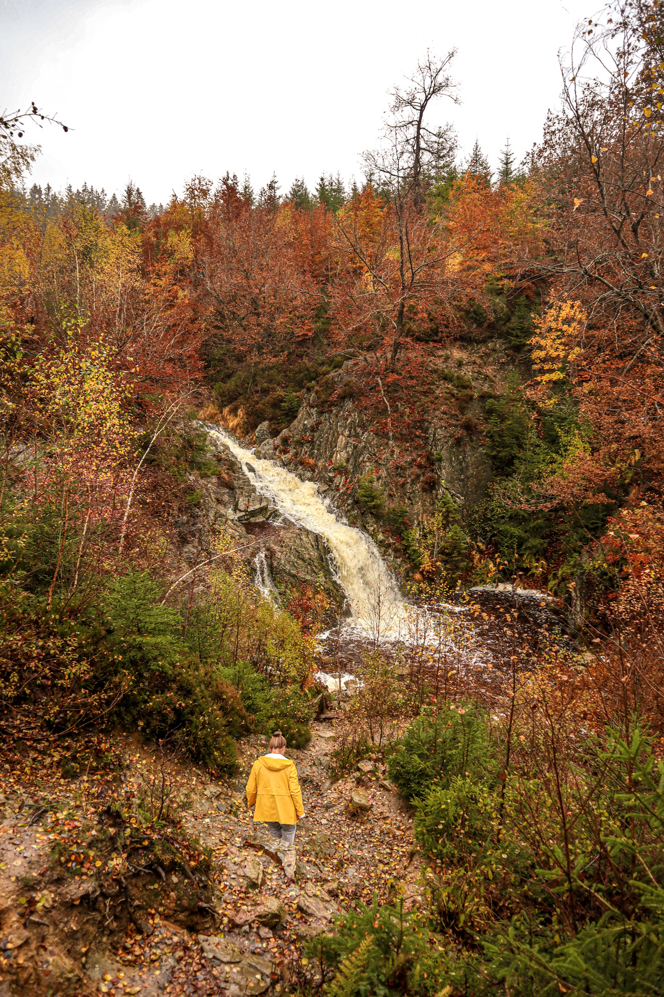 Autumn in Belgium; the most beautiful places to experience autumn foliage