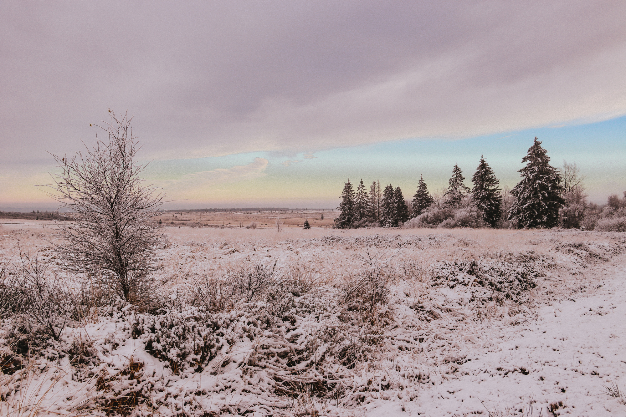 Snow in Belgium; the High Fens are the ultimate Winter Wonderland!