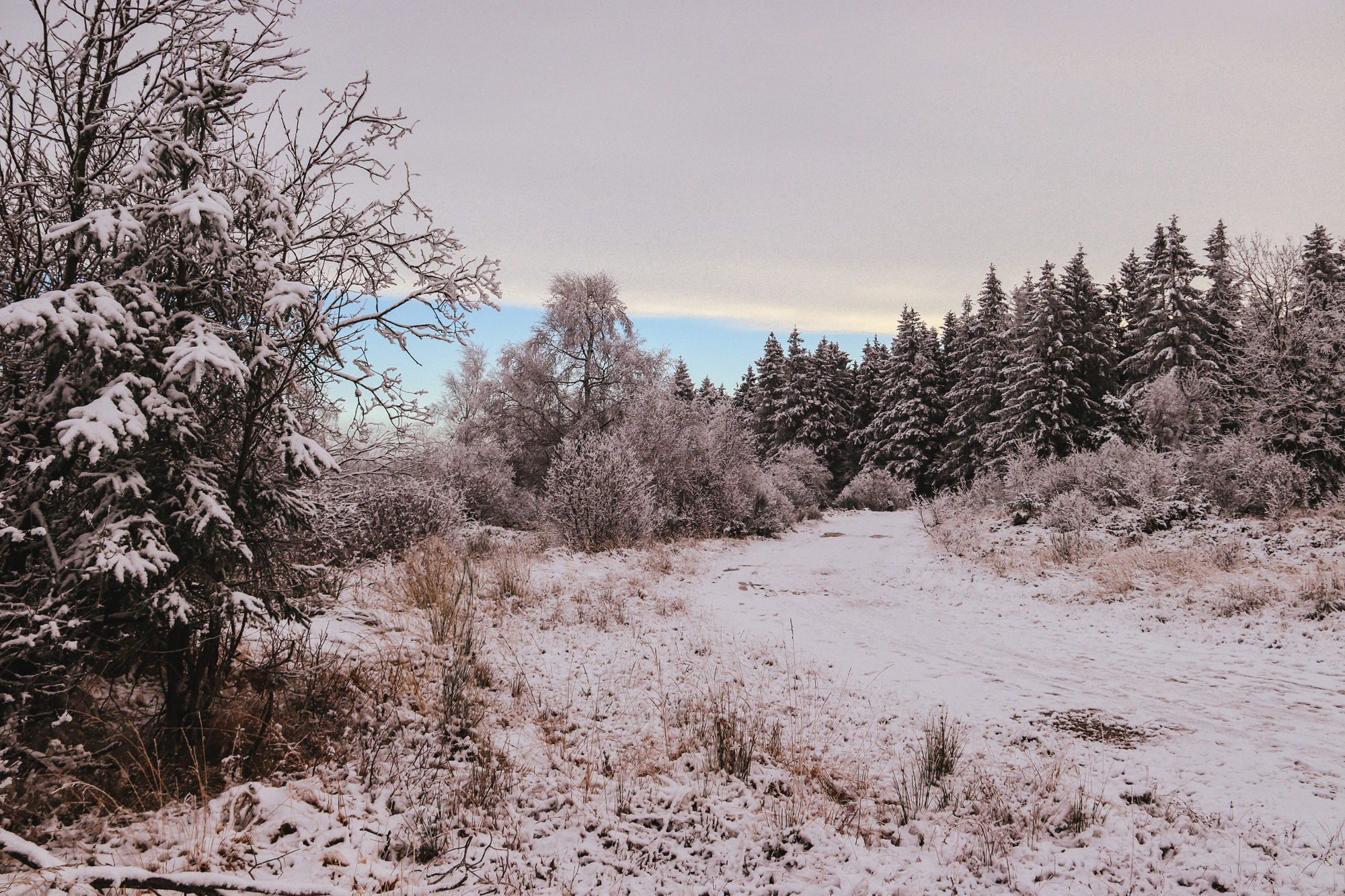 Snow in Belgium; the High Fens are the ultimate Winter Wonderland!