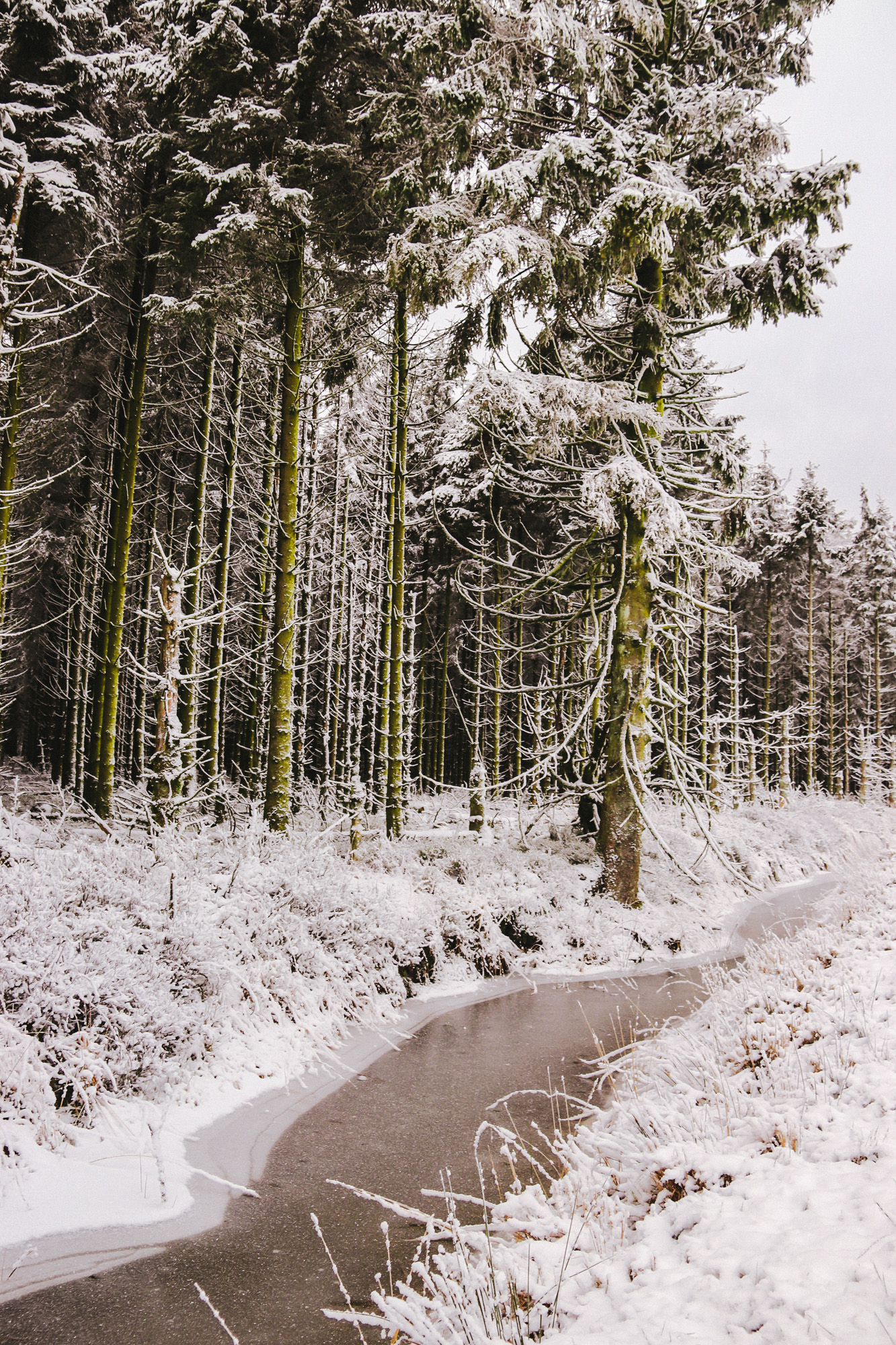 Snow in Belgium; the High Fens are the ultimate Winter Wonderland!