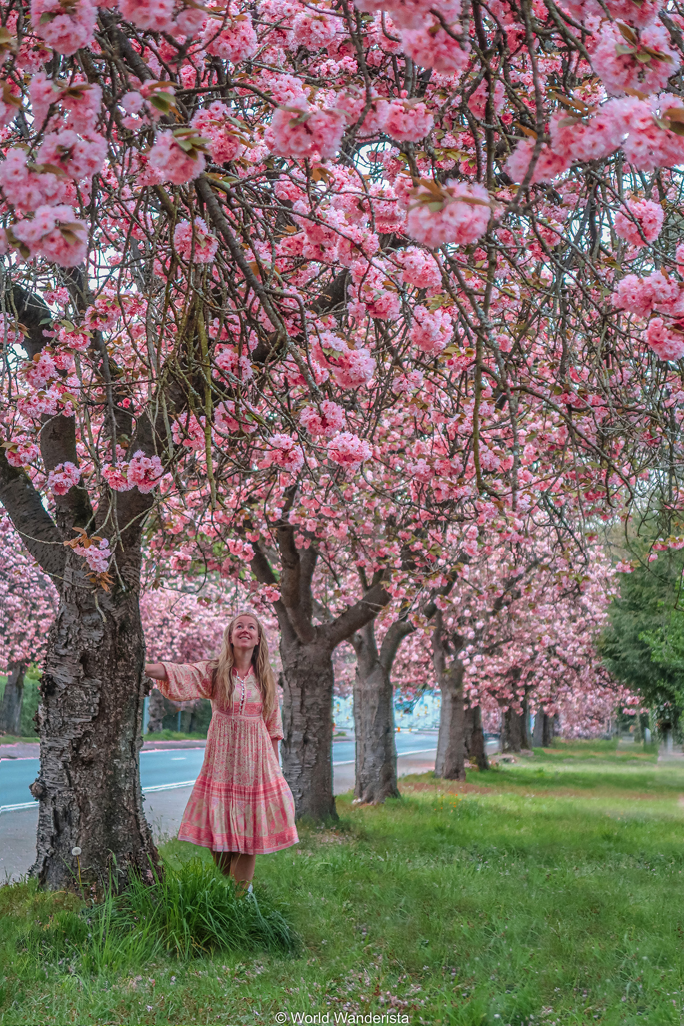 Spring in Belgium; 22 most beautiful places to find blossoms and flowers