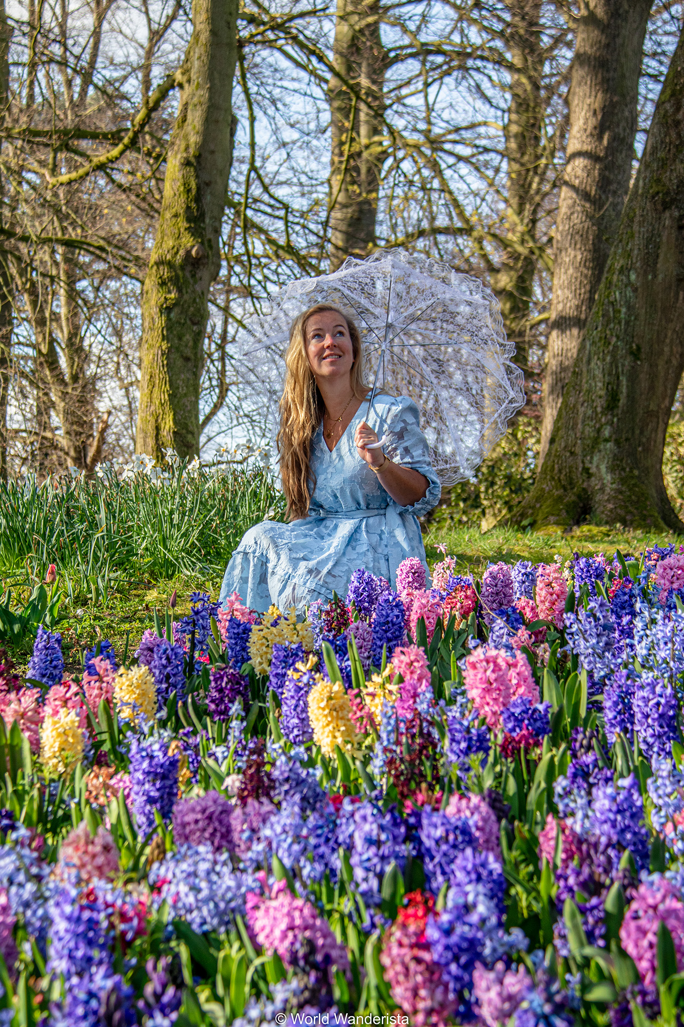 Spring in Belgium; 22 most beautiful places to find blossoms and flowers