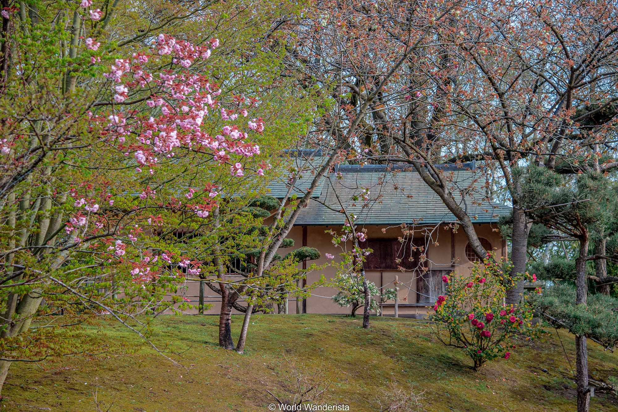 Spring in Belgium; 22 most beautiful places to find blossoms and flowers