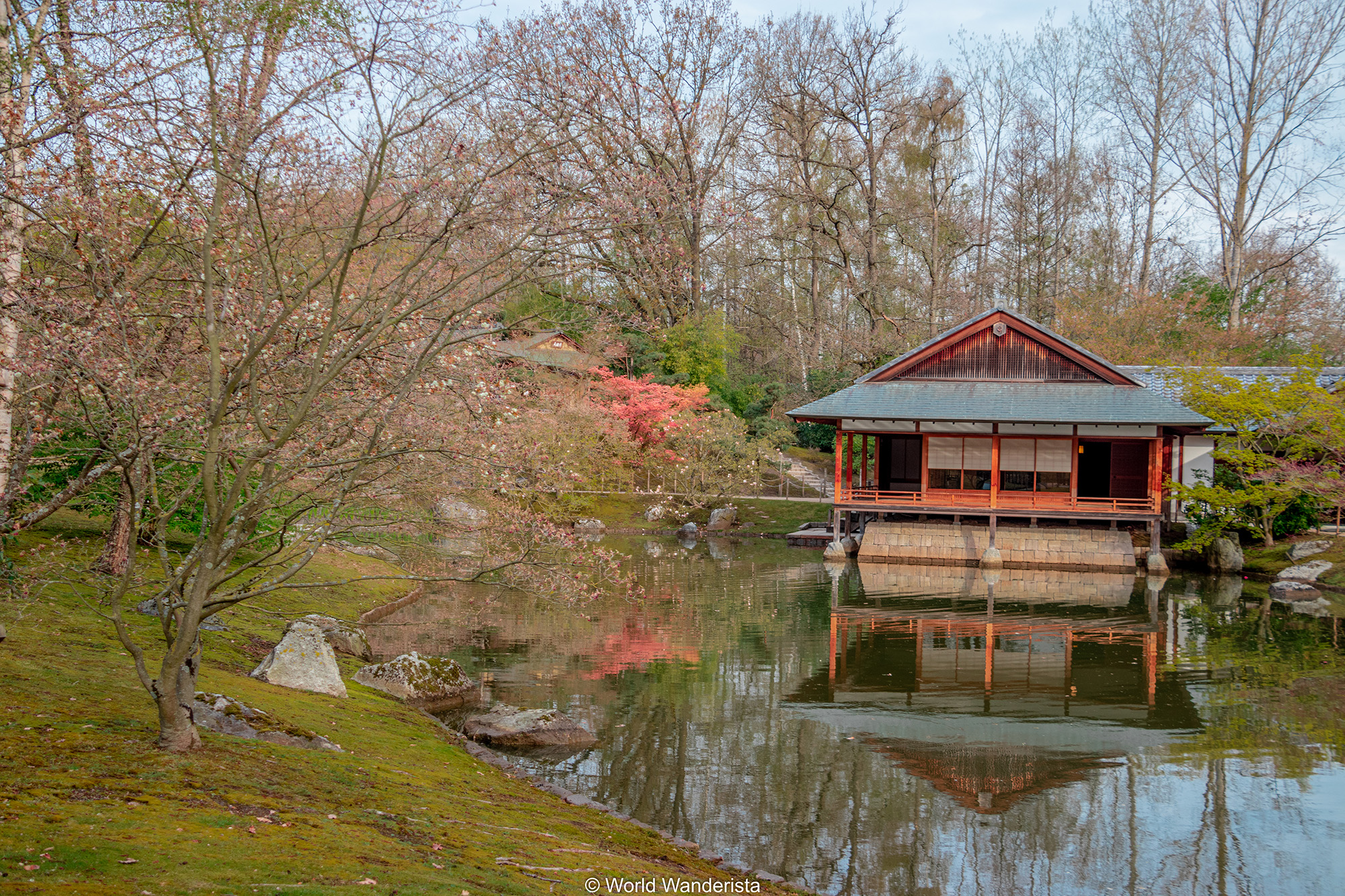 Spring in Belgium; 22 most beautiful places to find blossoms and flowers