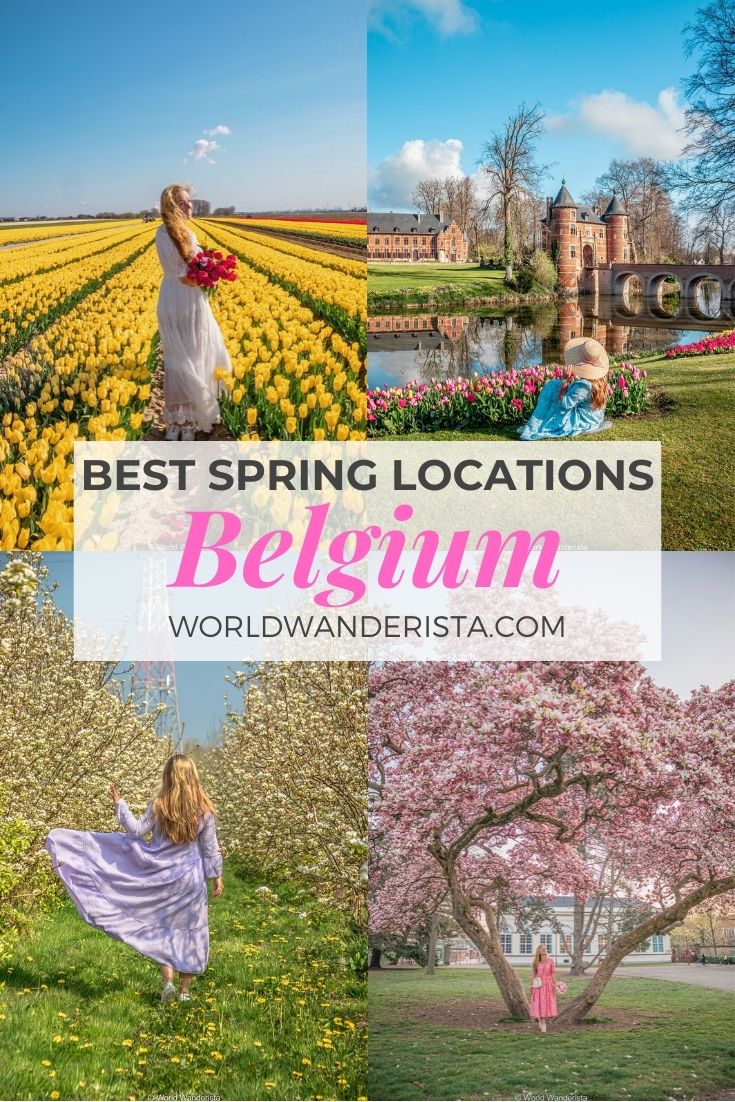 Spring in Belgium; 22 most beautiful places to find blossoms and flowers