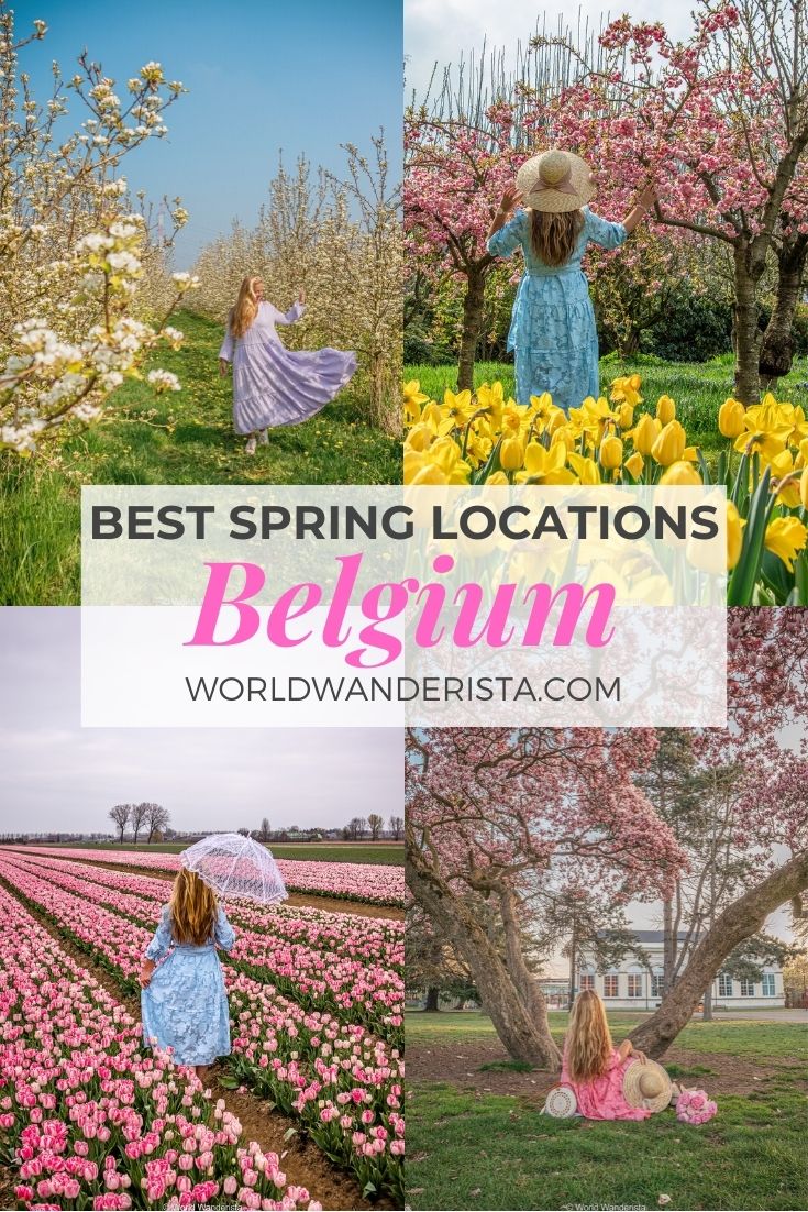 Spring in Belgium; 22 most beautiful places to find blossoms and flowers