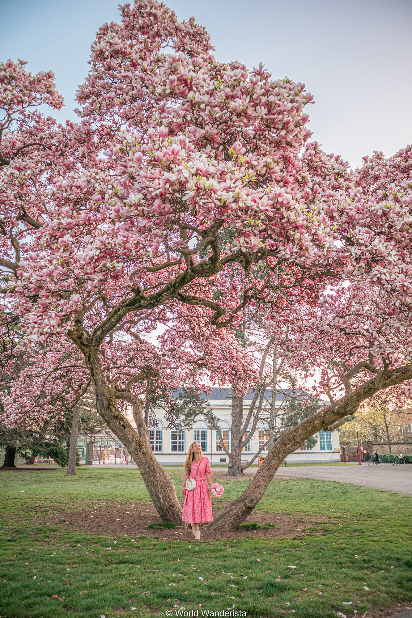 Spring in Belgium; 23 most beautiful places to find blossoms and flowers