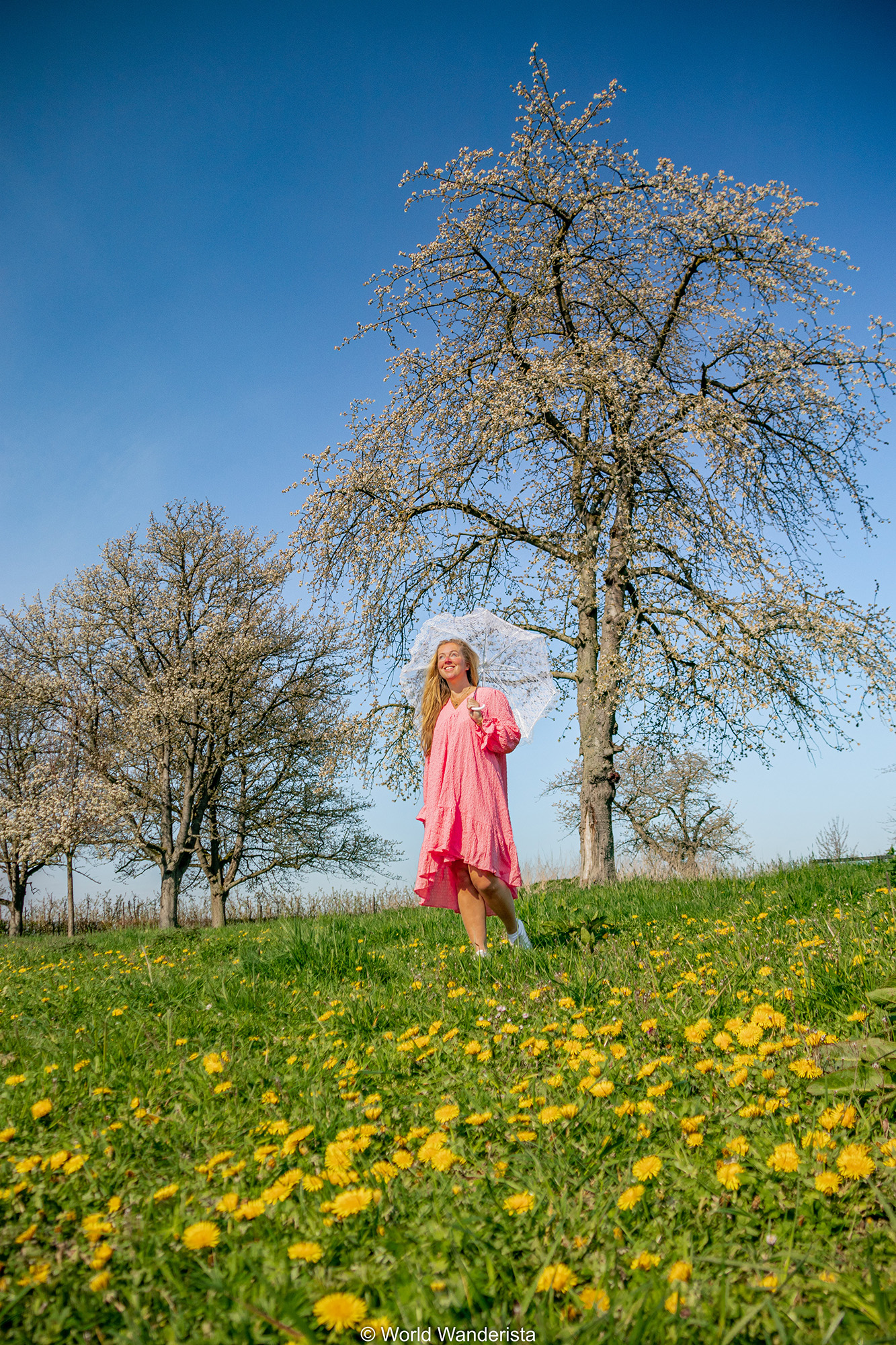 Spring in Belgium; 22 most beautiful places to find blossoms and flowers