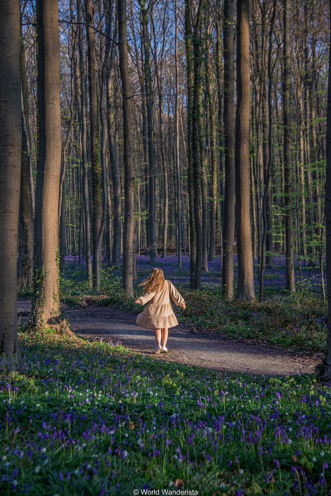 Spring in Belgium; 22 most beautiful places to find blossoms and flowers